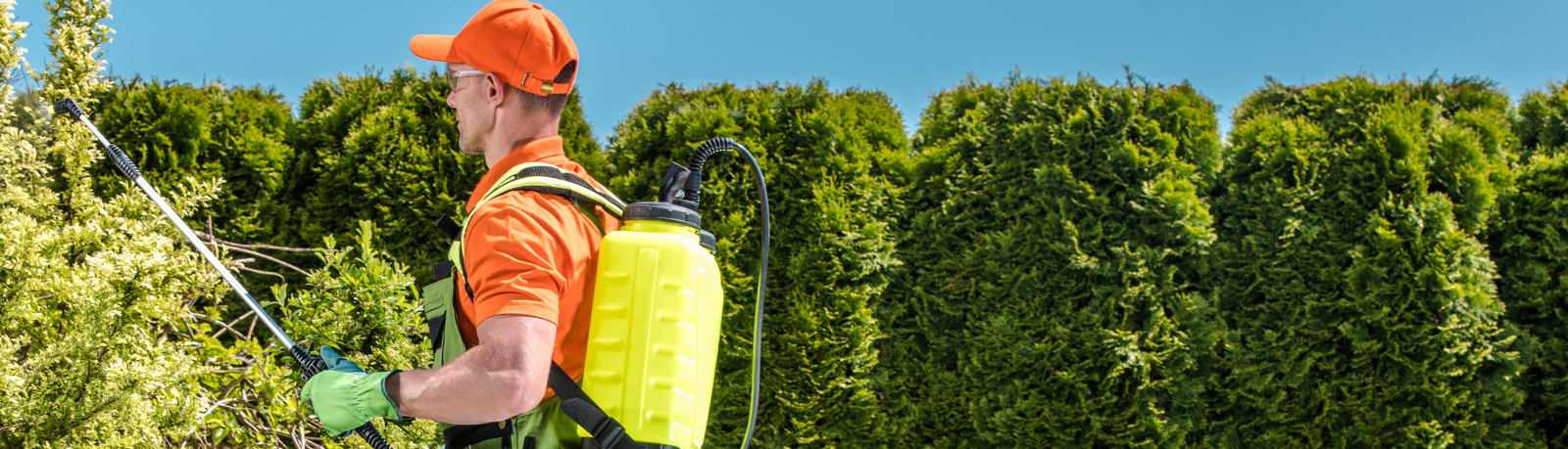 Selfless Marketer Demo – Bugs & Pest Control